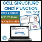 Simple Tips For Teaching The Parts Of A Cell - Mark Coziahr