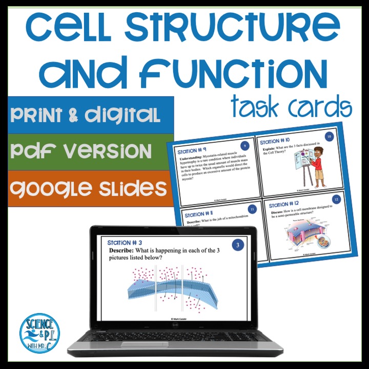 Simple Tips For Teaching The Parts Of A Cell - Mark Coziahr